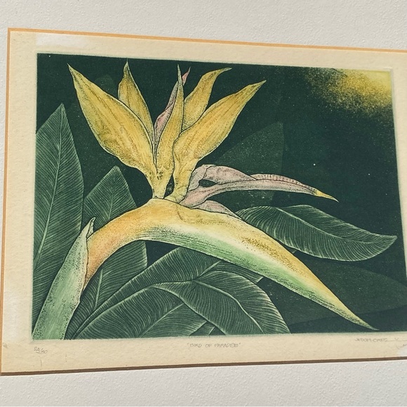Jess Flores | Art | Jess Flores Numbered Etching Bird Of Paradise 255 ...
